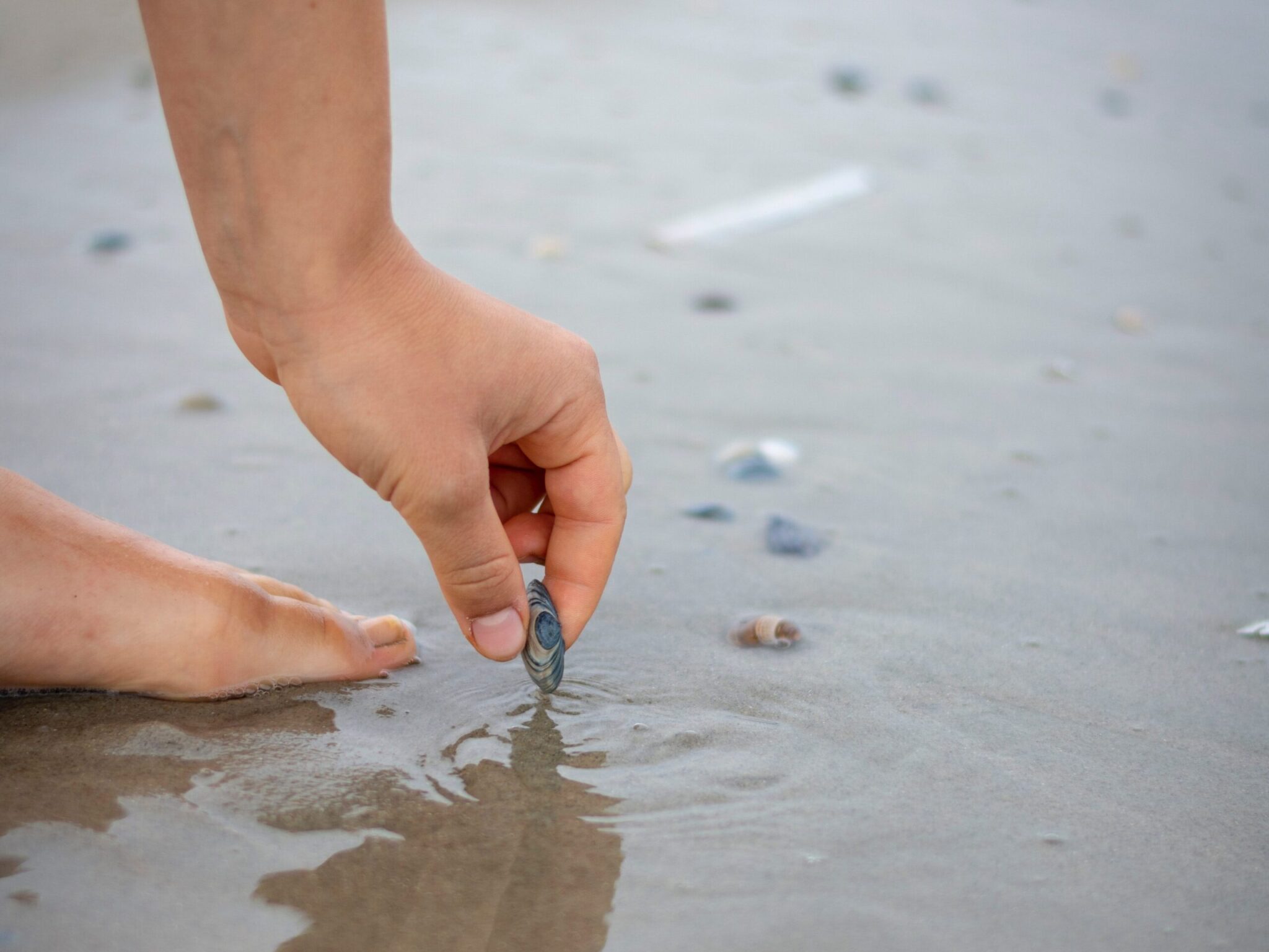 Glossary of Common Beach Terms - Beach Homes Realty Articles and Info ...