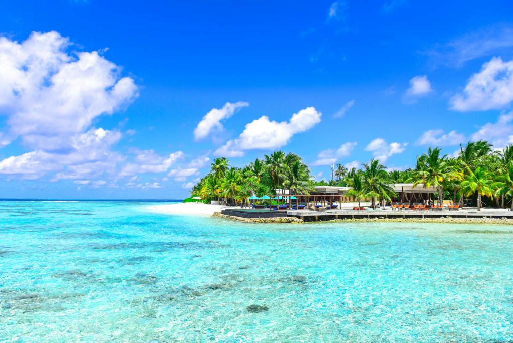 Glossary of Common Beach Terms - Beach Homes Realty Articles and Info ...