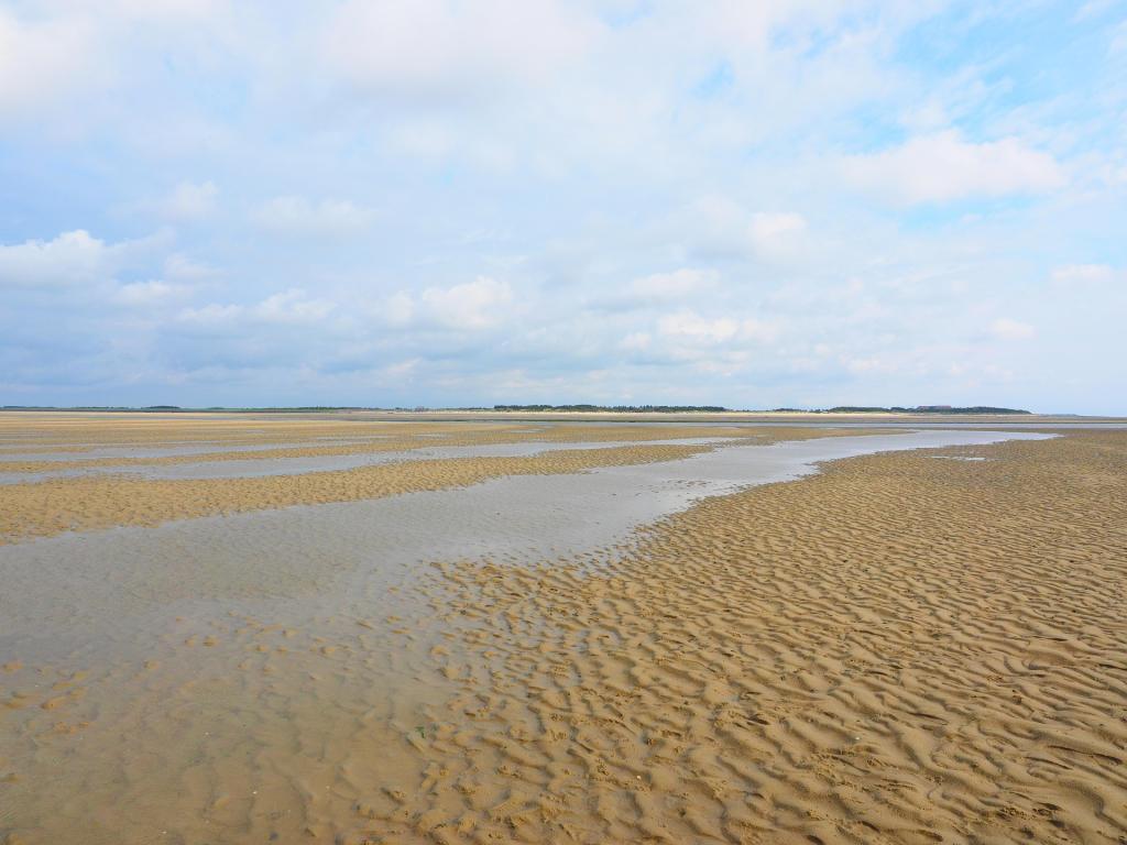 Types of Beaches - Beach Homes Realty Articles and Info - beach-homes.com