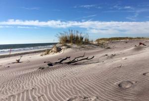 How Is Sand Formed? - Beach Homes Realty Articles and Info - beach ...