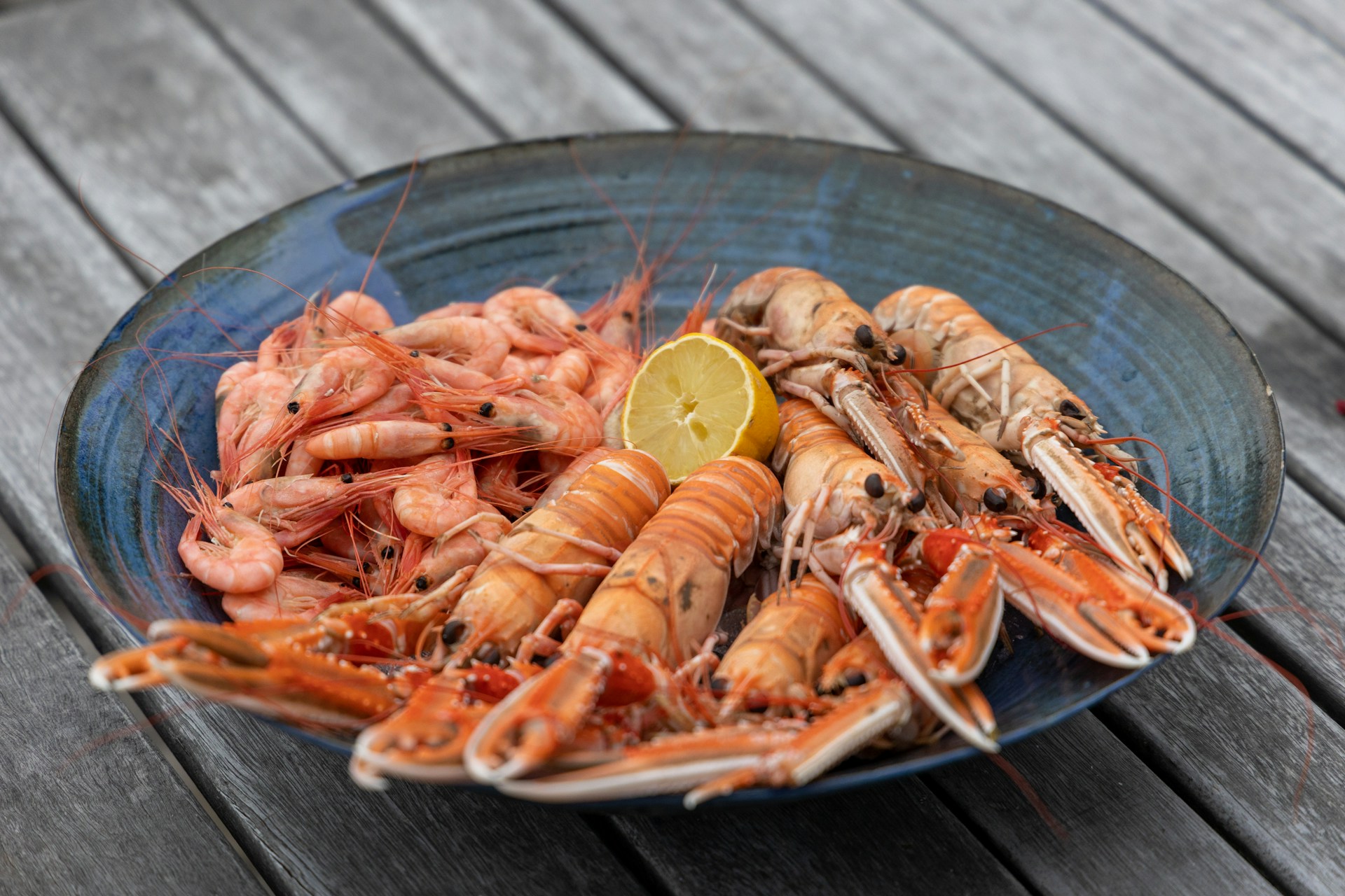 Crustacean Clarity: Subtle Nuances of Shrimp vs. Prawns - Beach Homes ...