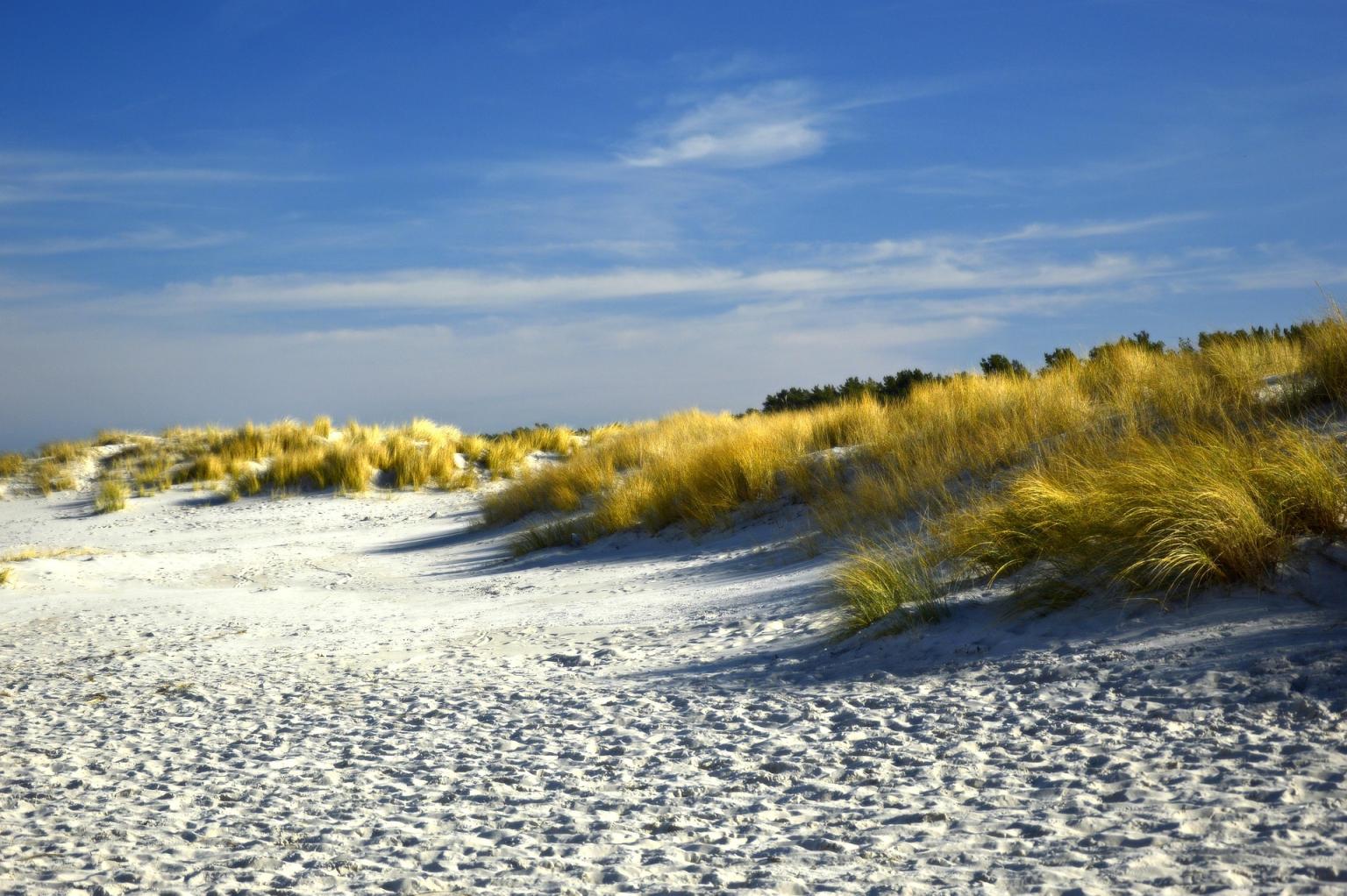 Understanding Sand Dunes: Nature's Coastal Guardians - Beach Homes ...
