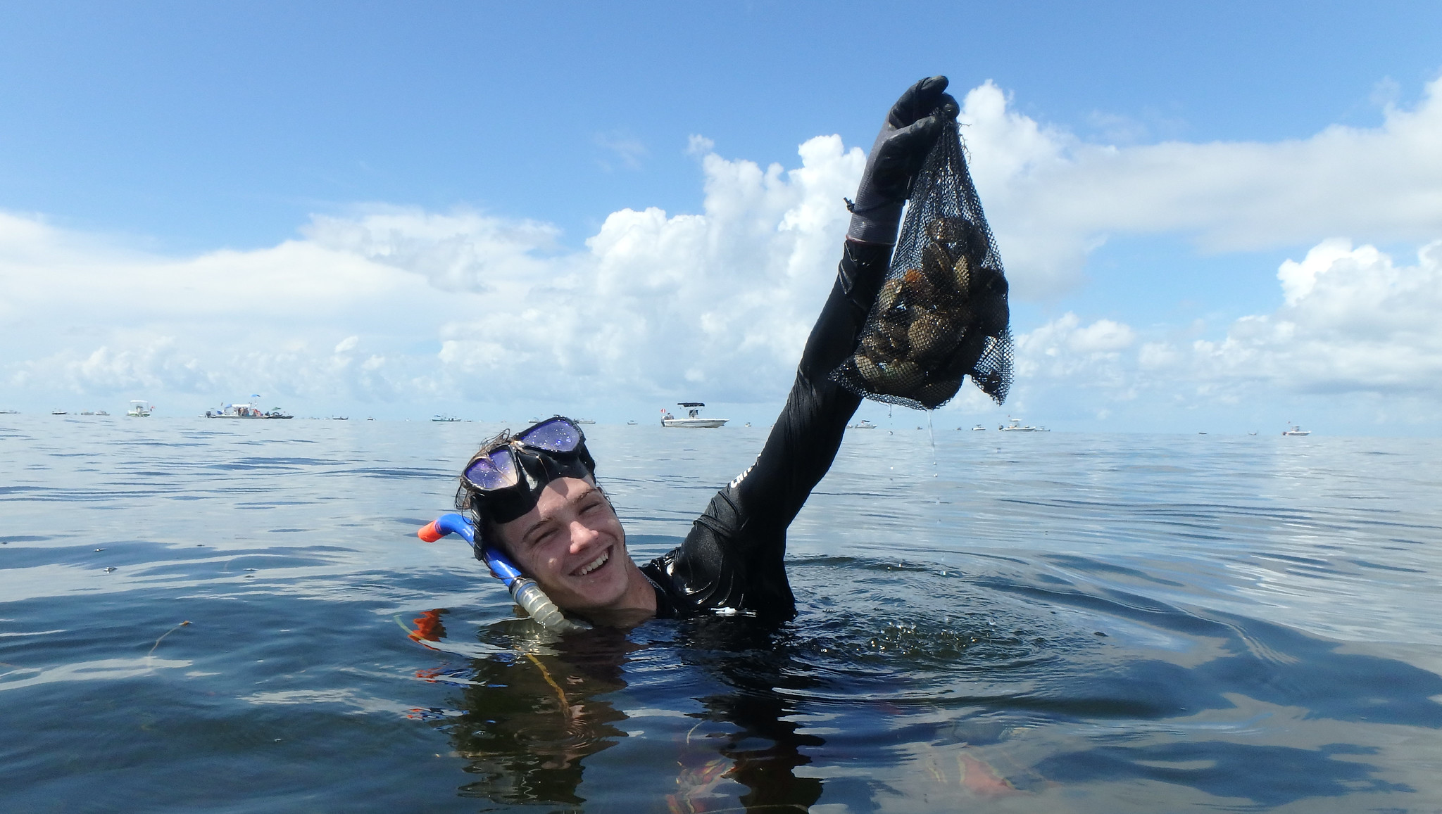 Scalloping in Florida: Things to Know Before You Go - Beach Homes ...