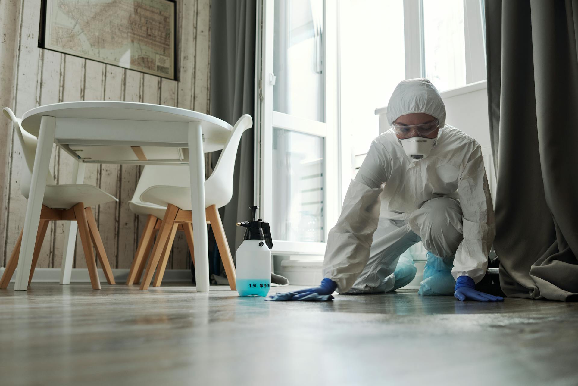 Reducing the Risk: Mold Prevention Tips For Your Coastal Home - Beach ...