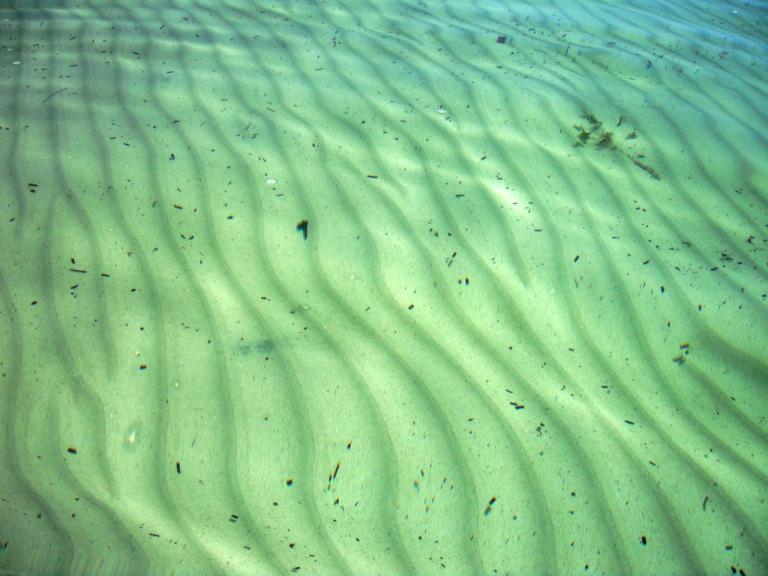 Clear vs Murky Water: Understanding Water Clarity - Beach Homes Realty ...