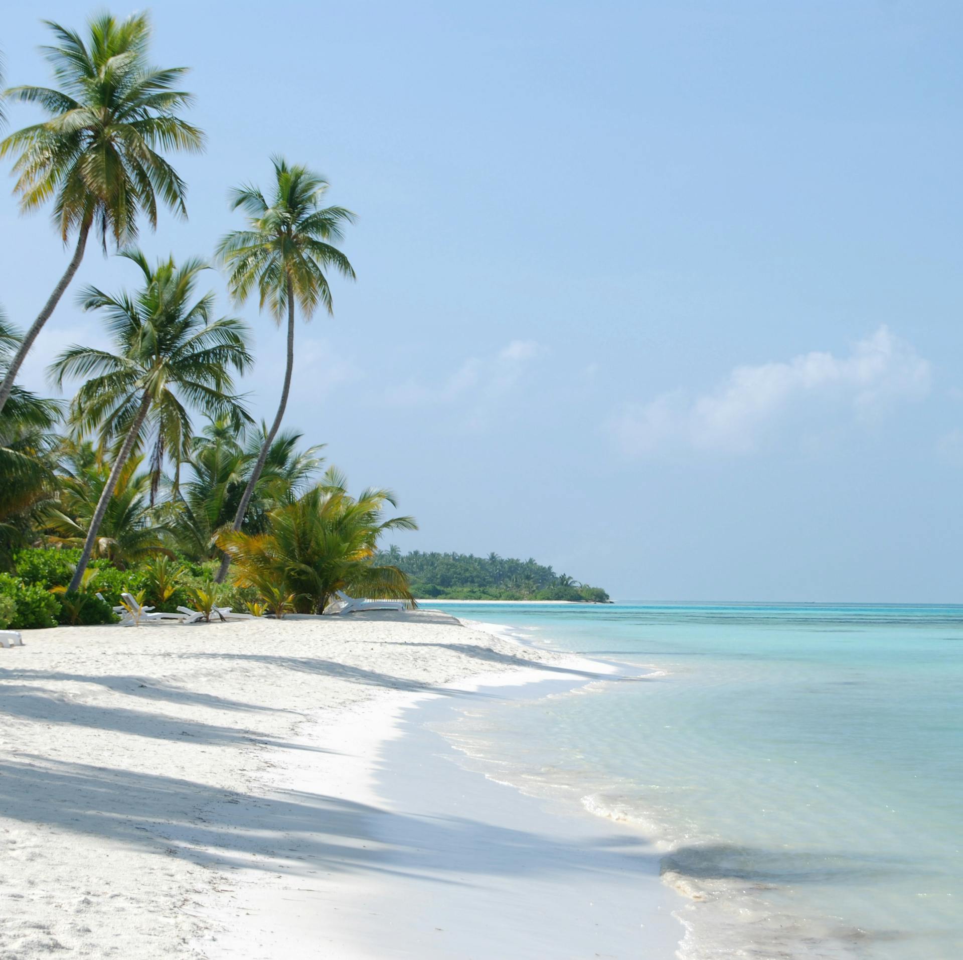 Clear vs Murky Water: Understanding Water Clarity - Beach Homes Realty ...